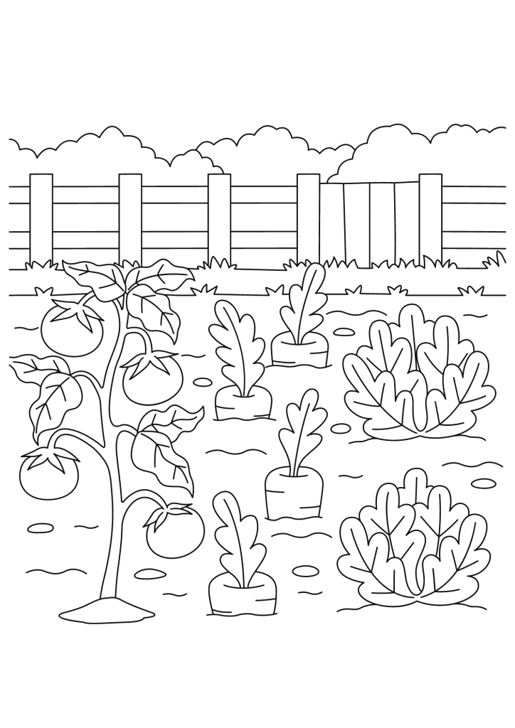 Vegetables Color Sheet (Free + Printable) | Kokoprint.com