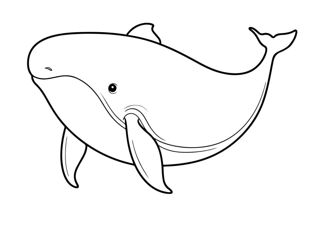 Whale Color Sheets (Free + Printable)