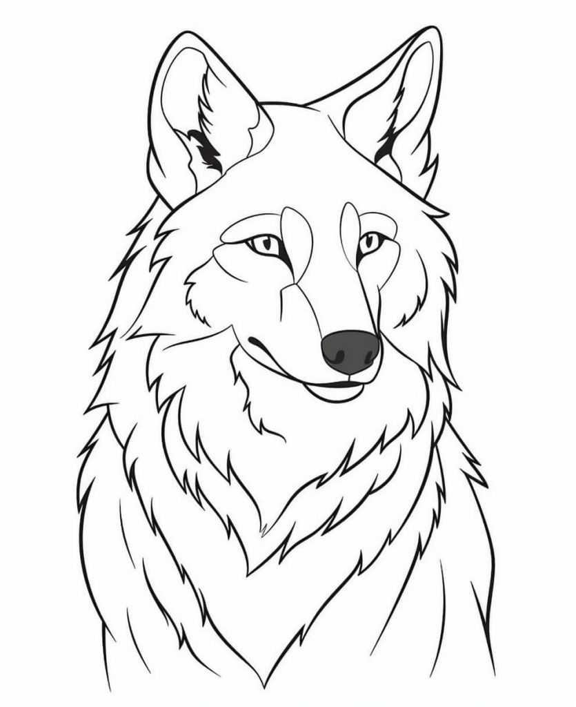 Wolf Color Sheets (Free + Printable)