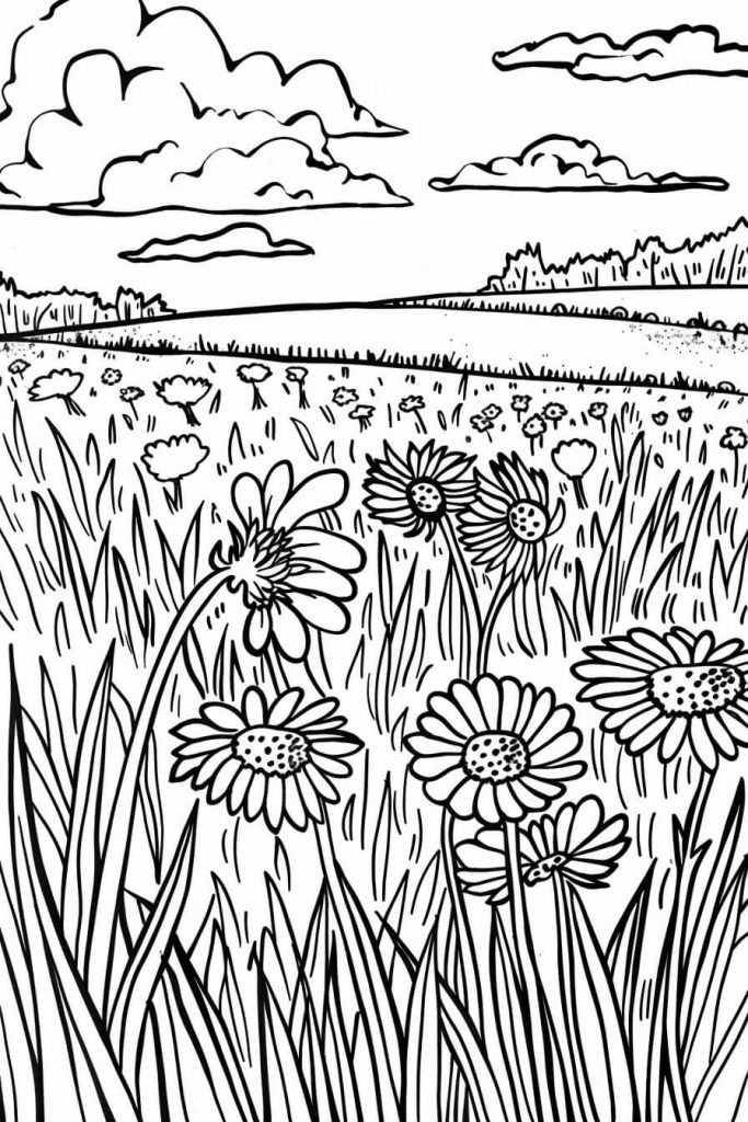 Blumenwiese Ausmalbilder (100% Kostenlos zum Ausdrucken) - Kokoprint.com