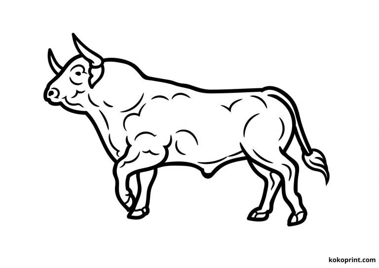 Toros | Dibujos para imprimir y colorear (100% gratis)